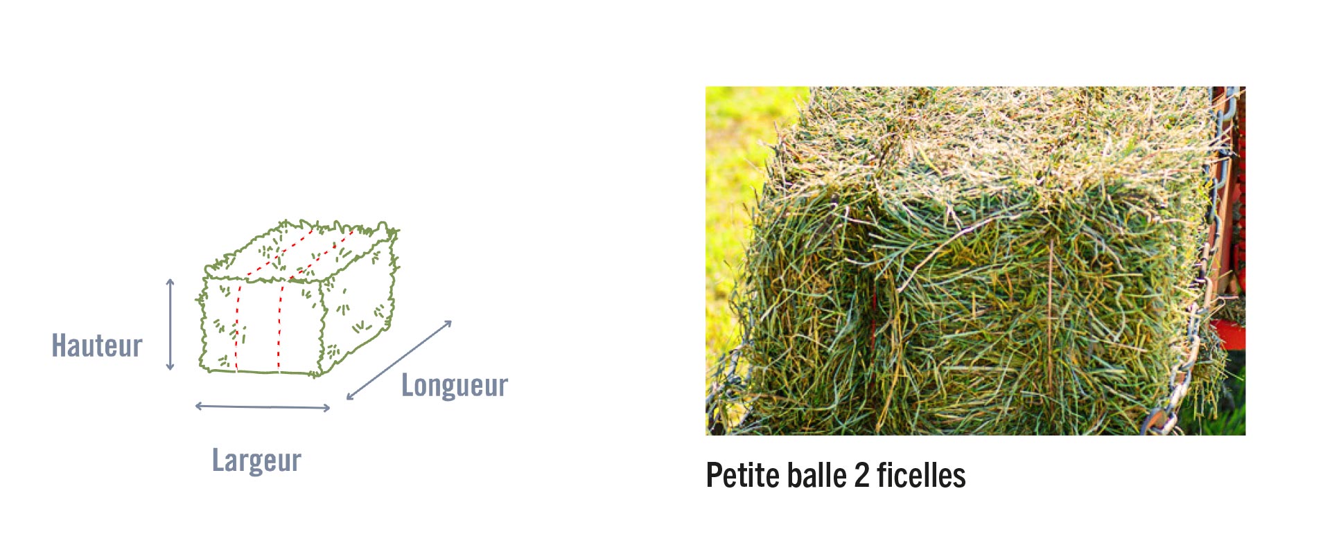 Les producteurs de Foin de Crau AOP - Foin de Crau